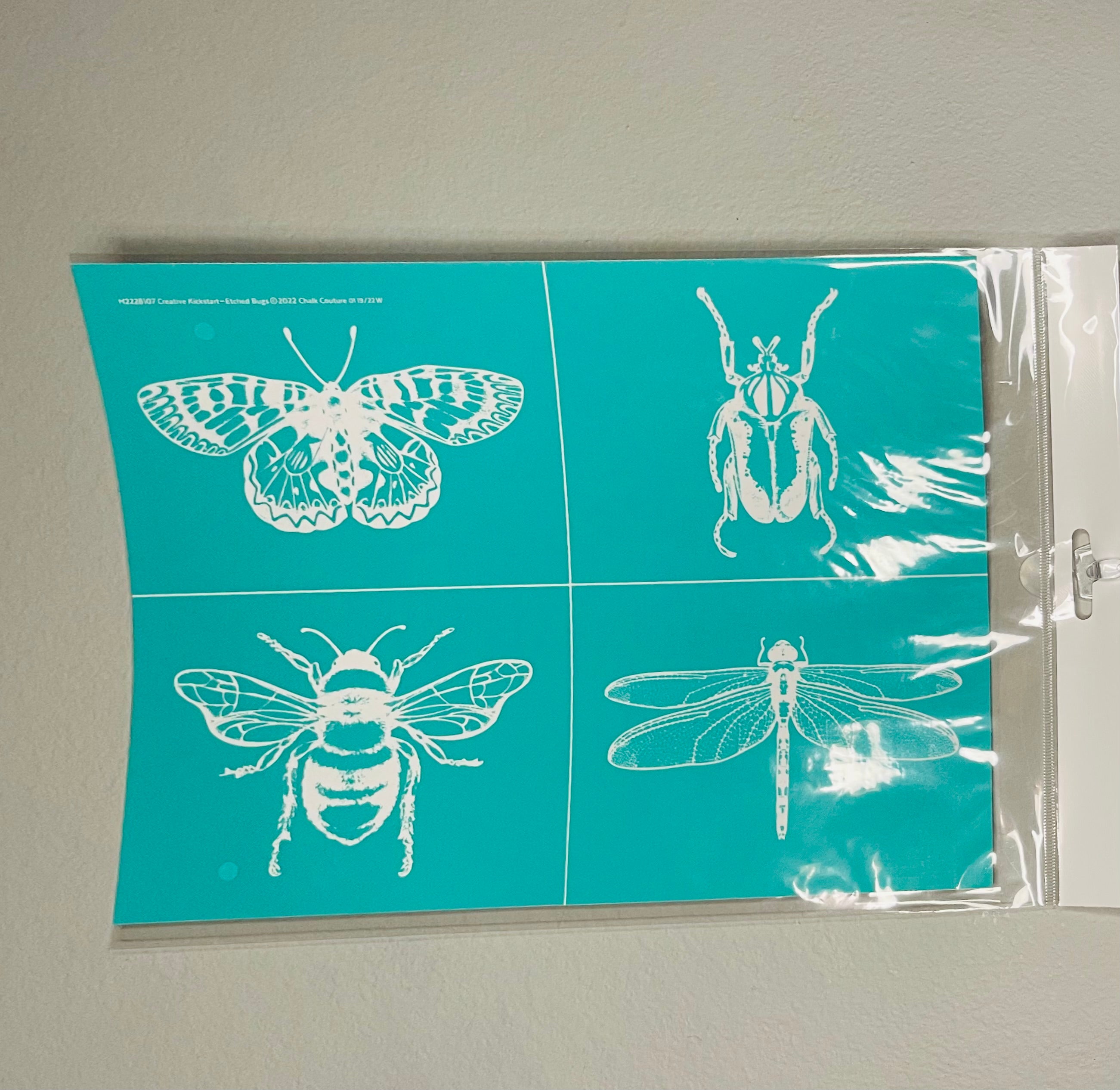 Etched bugs – Designs By Breigh